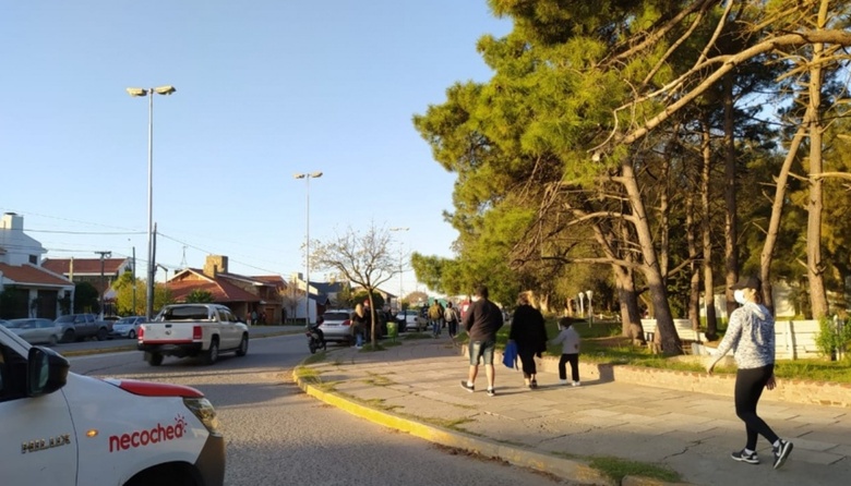 "Necochea bajo la lupa": visitas guiadas por el parque Miguel Lillo ...
