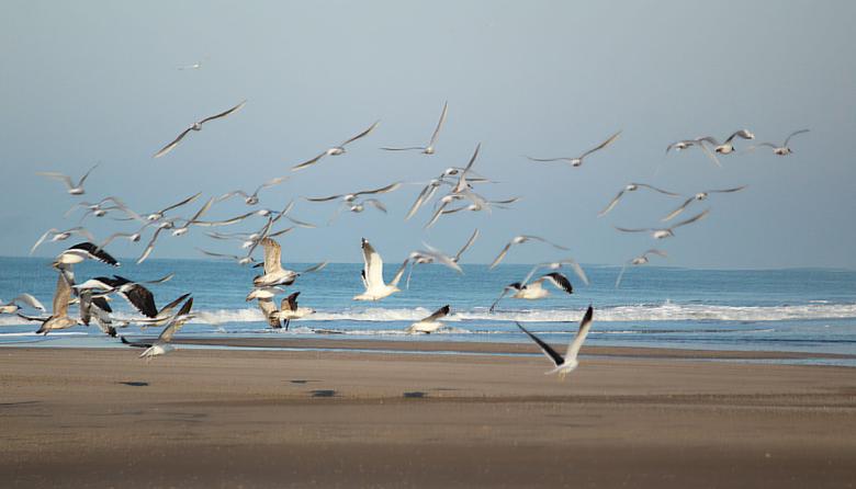 Chaparrones, viento y calor: el clima en Necochea para este fin de ...